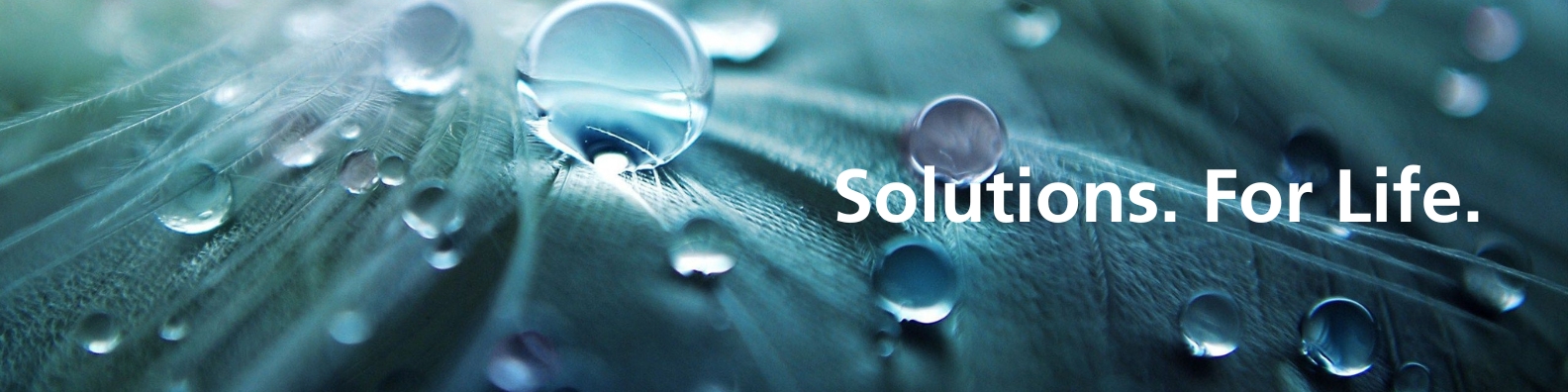 Careers Search for Jobs Introduce Yourself